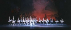 Swan Lake | Victor Hochhauser